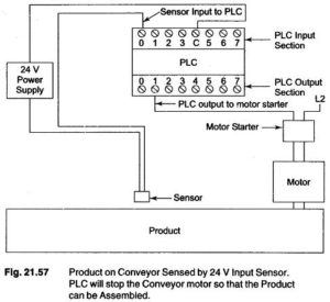 PLC Basic Process | Output Module