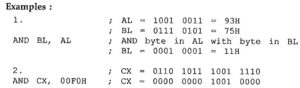 Bit Manipulation Instructions in 8086 | Logical Instructions