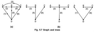Network Topology | Types of Graph | Tree | Loop Properties