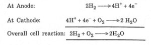 Fuel Cell Working Principle and Schematic Diagram